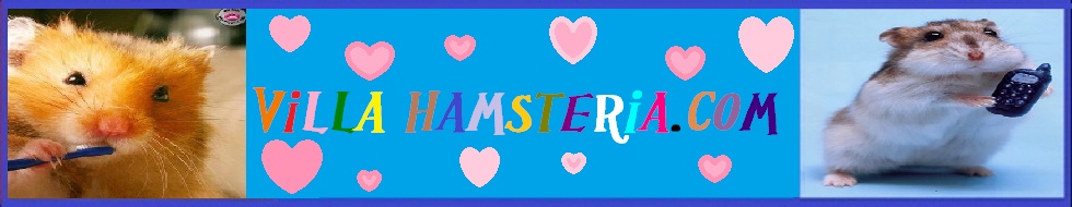 [EXCLUSIVE] Bibcam Boy.14